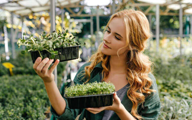 Landscape design and implementation - Vital Gardens