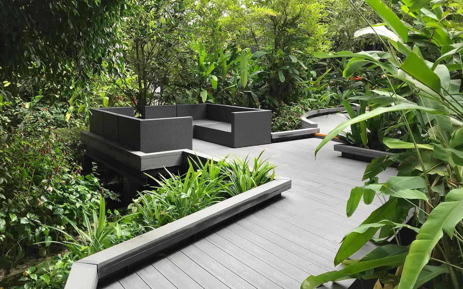 Plant & Tree Solutions - How to design your home and garden.