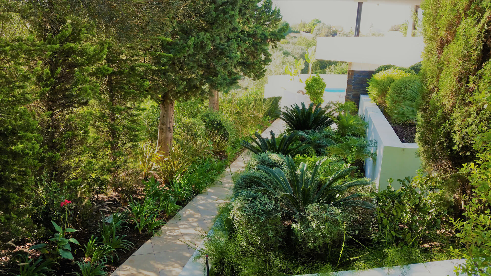 Gallery – Landscaping and Garden Maintenance – Vital Gardens