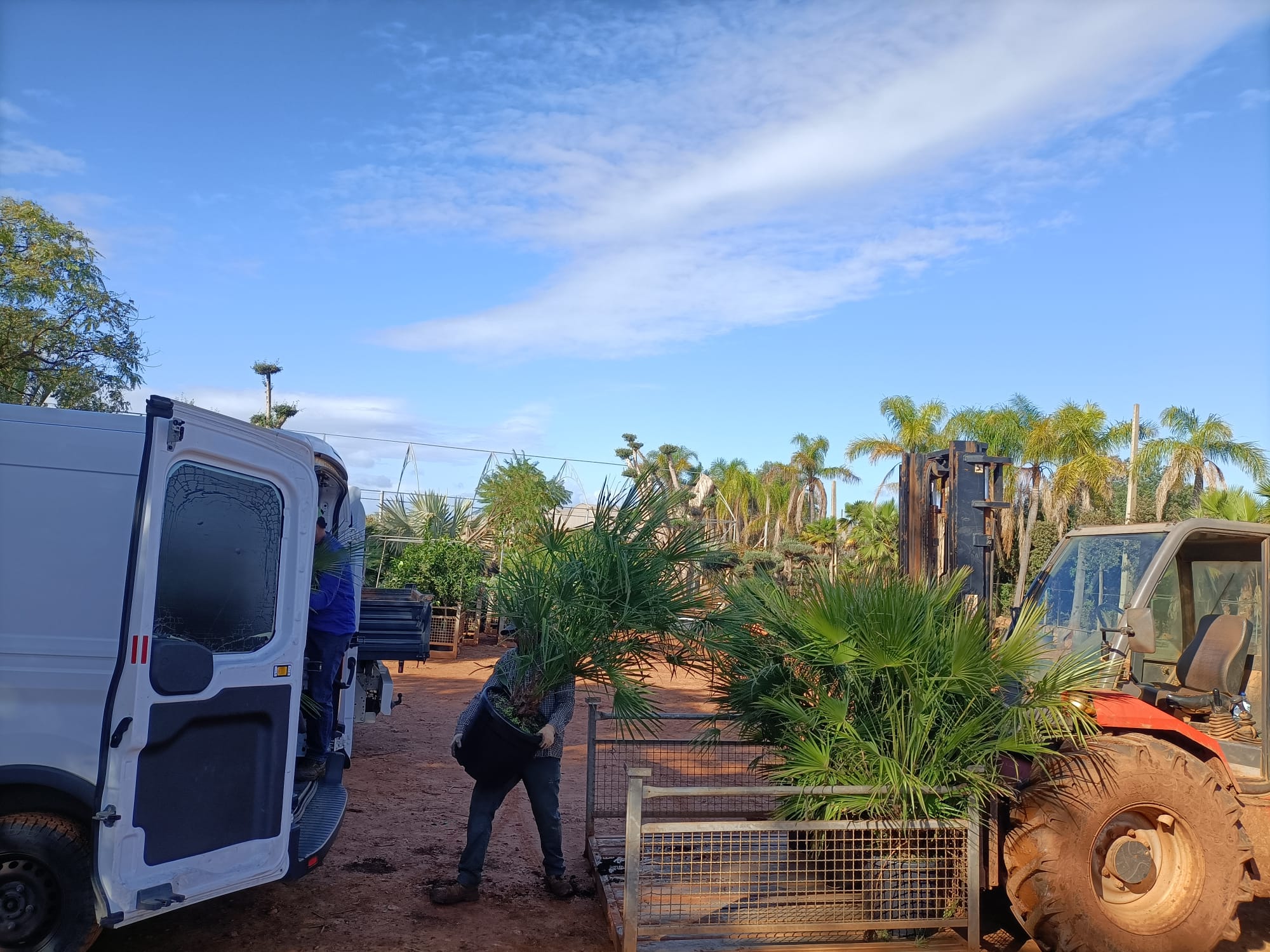 Gallery – Landscaping and Garden Maintenance – Vital Gardens