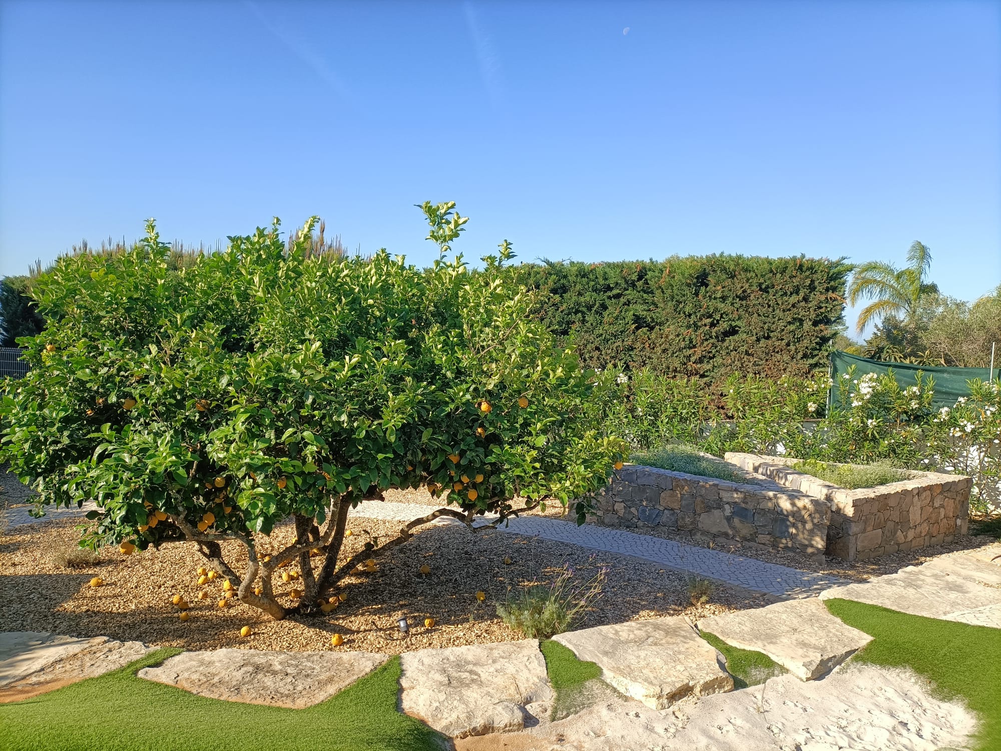 Gallery – Landscaping and Garden Maintenance – Vital Gardens