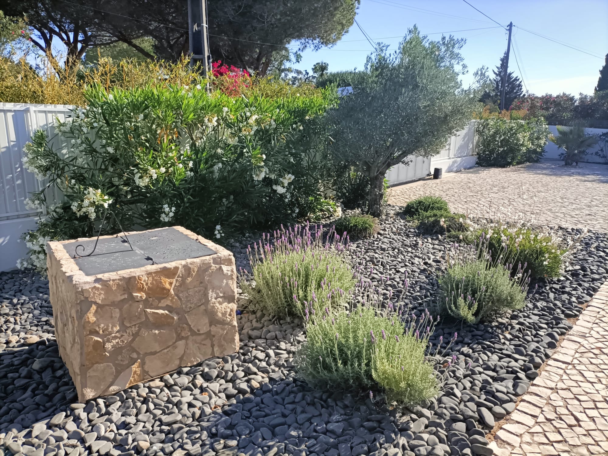 Gallery – Landscaping and Garden Maintenance – Vital Gardens